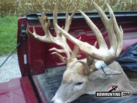 GIANT 28 point Buck taken in Illinois by Bow and from the Ground!