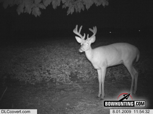 DLC Covert II Assassin Trail Camera.