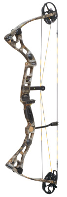 New Bows for 2010