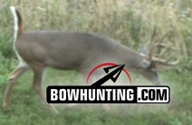 Terry Drury Harvests a 170 inch Giant whitetail buck.