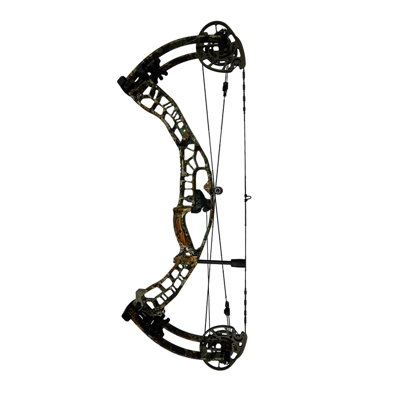 New Bows for 2026